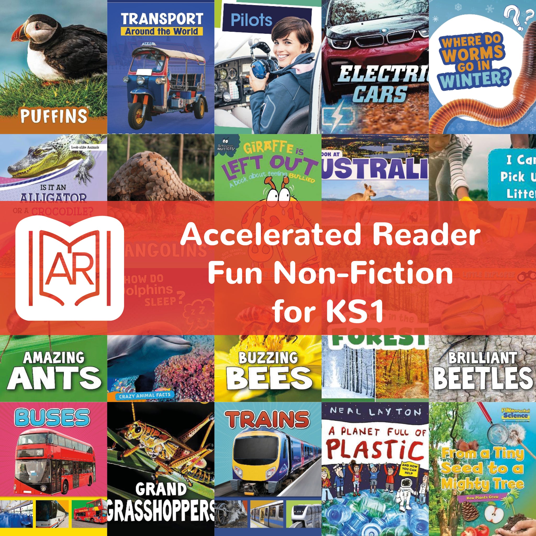 Accelerated Reader | School Bargain Bookshop