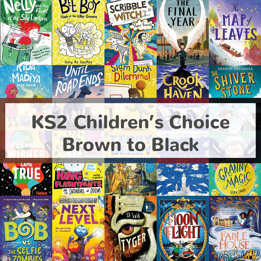 Bargain Book Bands for KS2 | Brown to Black Book Bands — School Bargain ...
