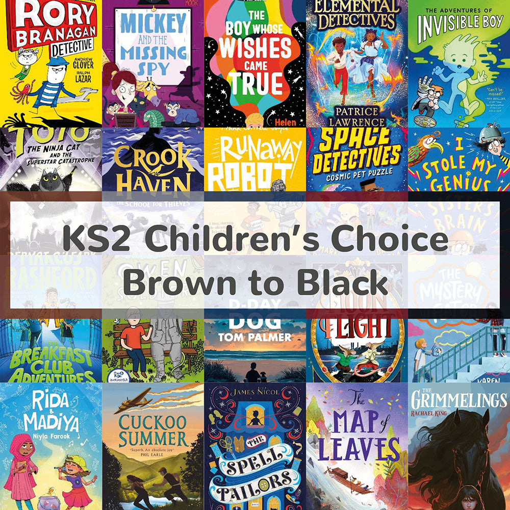 Bargain Book Bands for KS2 | Brown to Black Book Bands — School Bargain ...