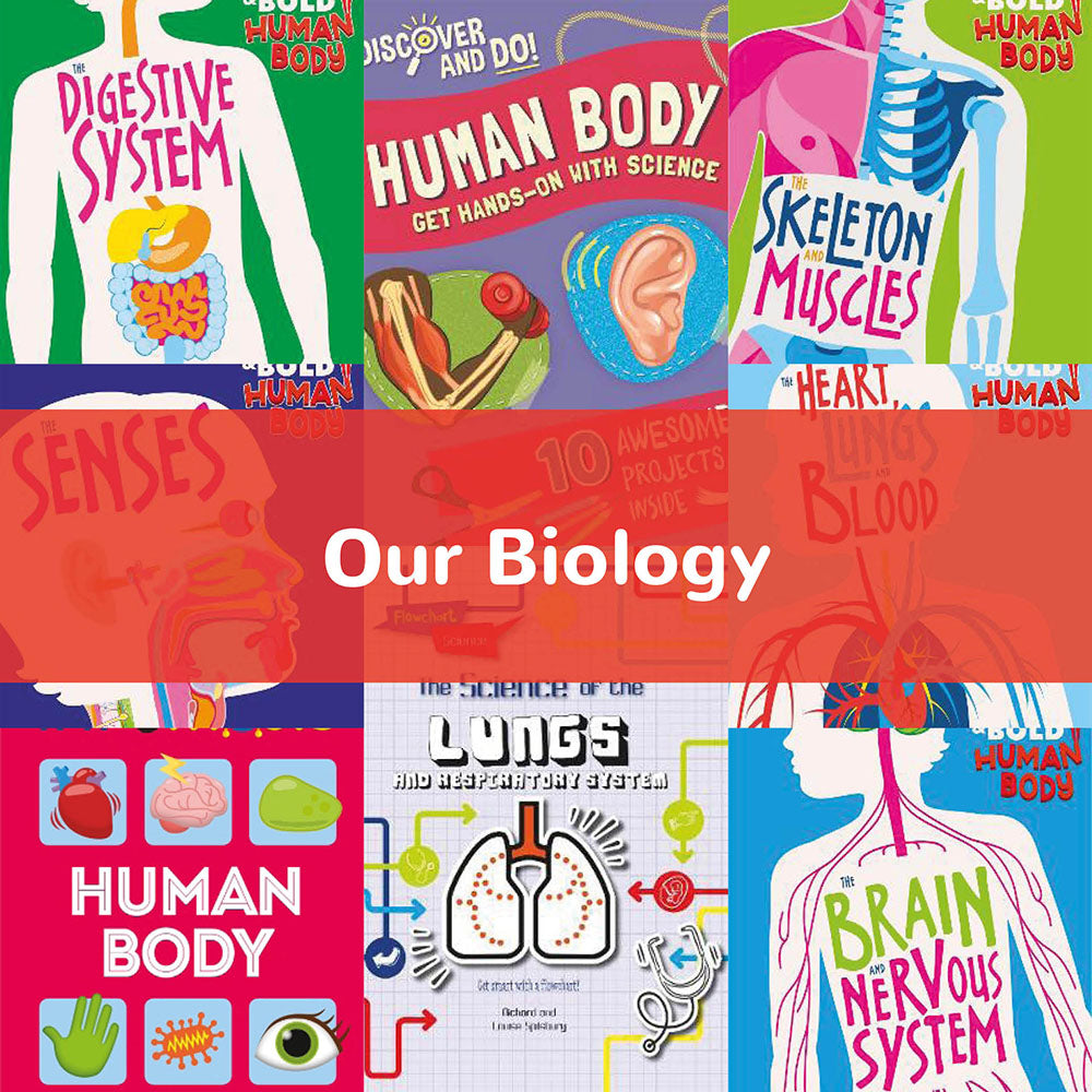 Our Bodies | Books for KS2 Science | School Bargain Bookshop