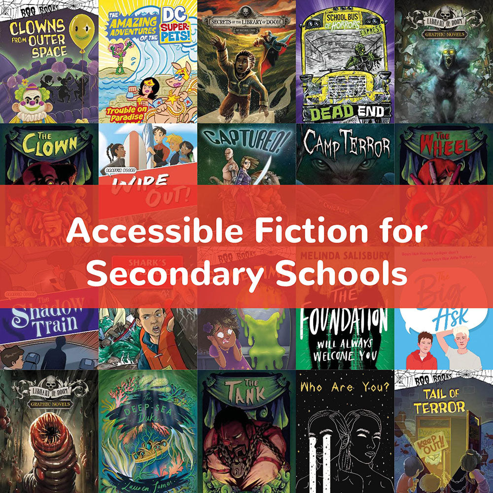 Accessible Fiction for Secondary Schools — School Bargain Bookshop