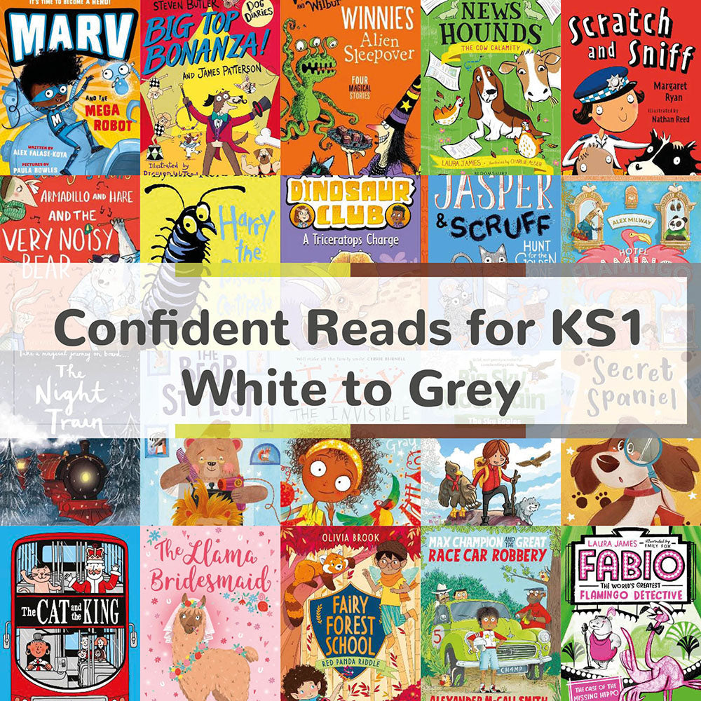 Confident Reads for KS1 | Banded White to Grey — School Bargain Bookshop