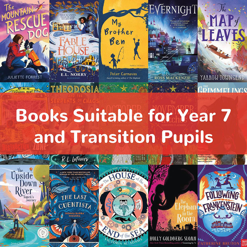 Books Suitable for Year 7 and Transition Pupils — School Bargain Bookshop