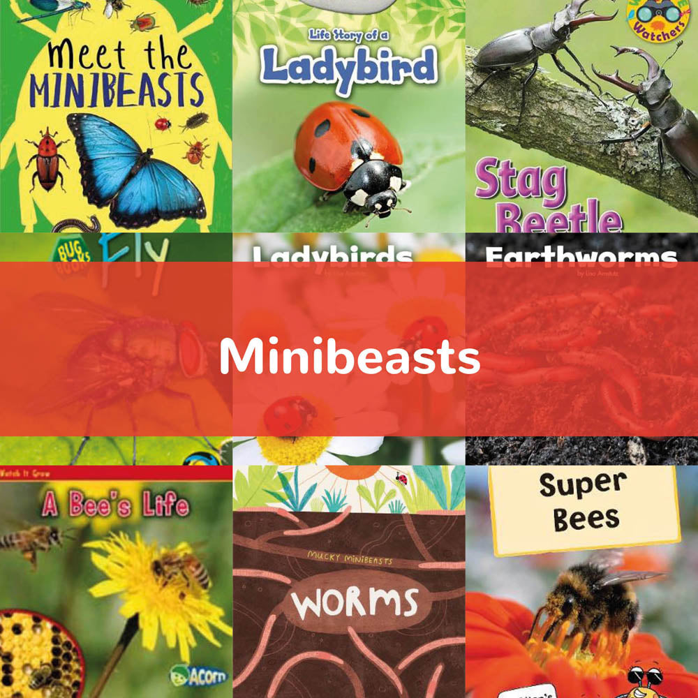 Books about Minibeasts for KS1 Science — School Bargain Bookshop