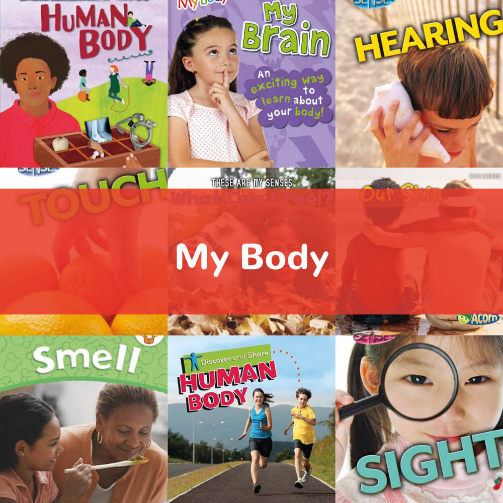 My Body | Books for KS1 Science | School Bargain Bookshop