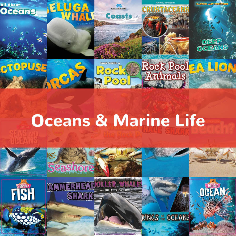 Books on Ocean Life for KS1 Science — School Bargain Bookshop